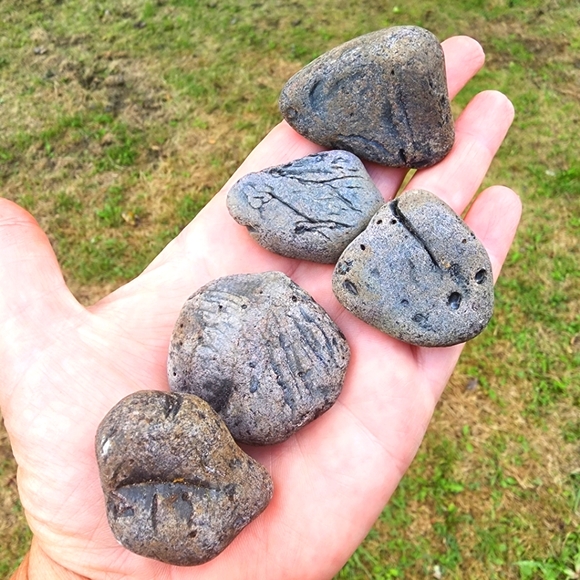 sea glass | Accents | Amethyst Lot Beach Sea Glass Slag General ...